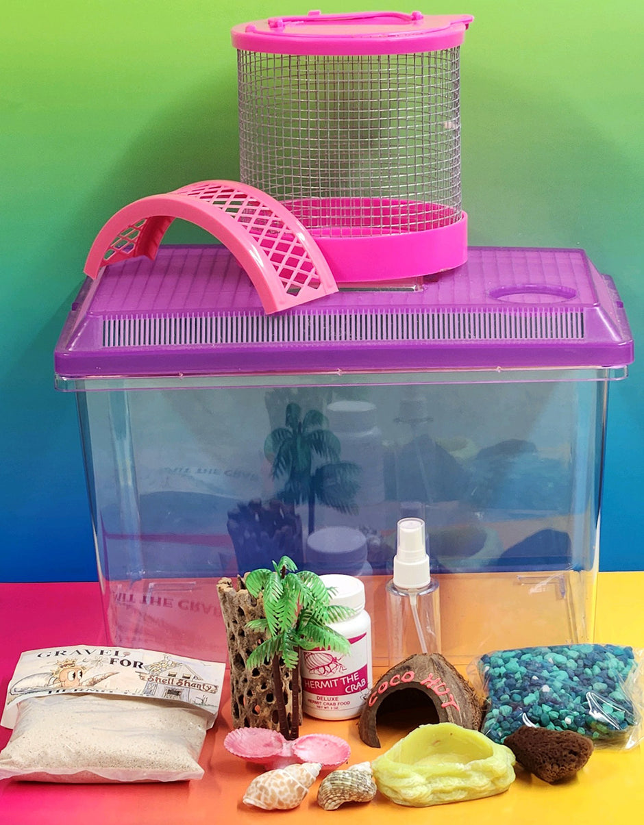 Shop All - Hermit Crab Starter Kits, Live Hermit Crabs and Accessories ...